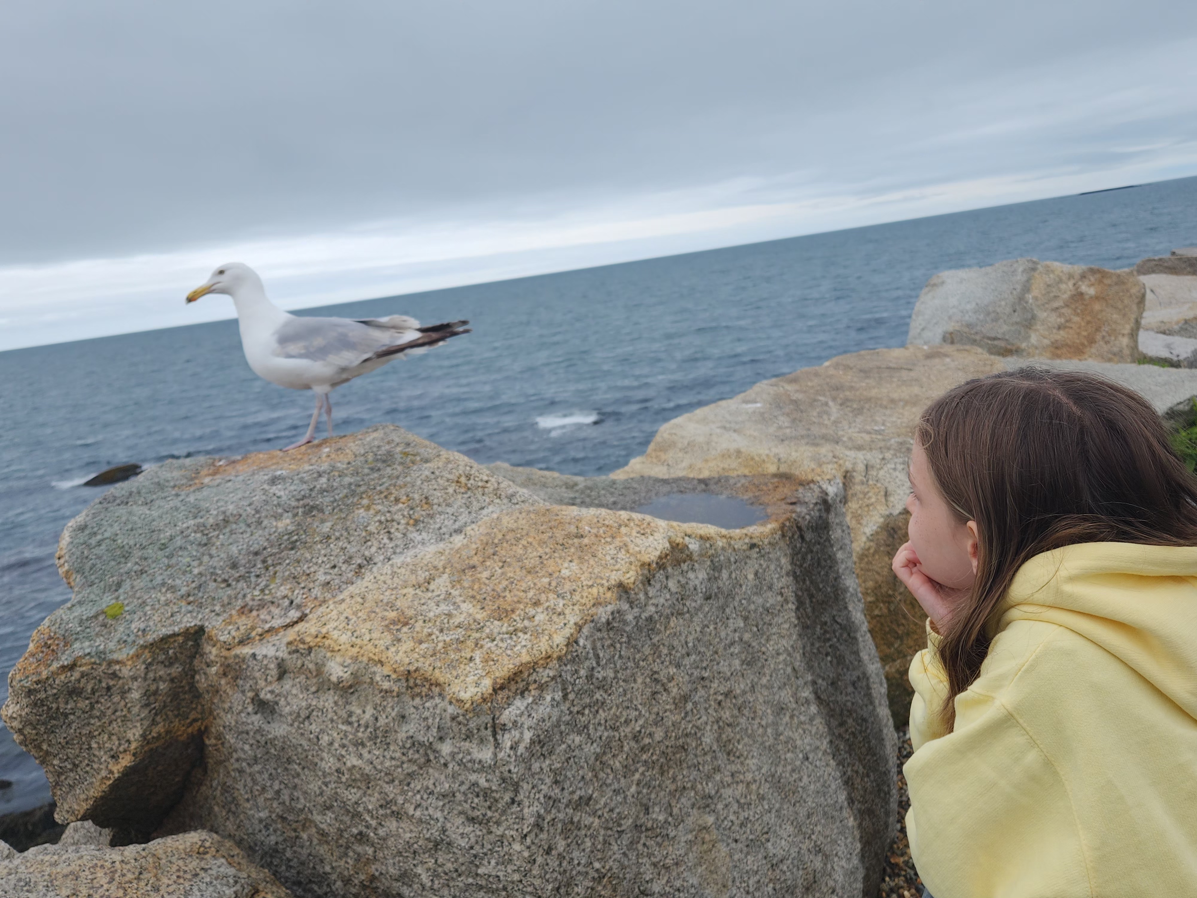 Summer Check In: 8 months – A Year of Firsts